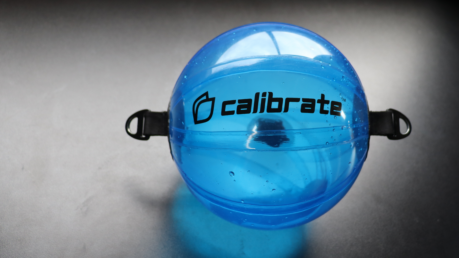 The Home of CHAOS™ Training – Calibrate Sports